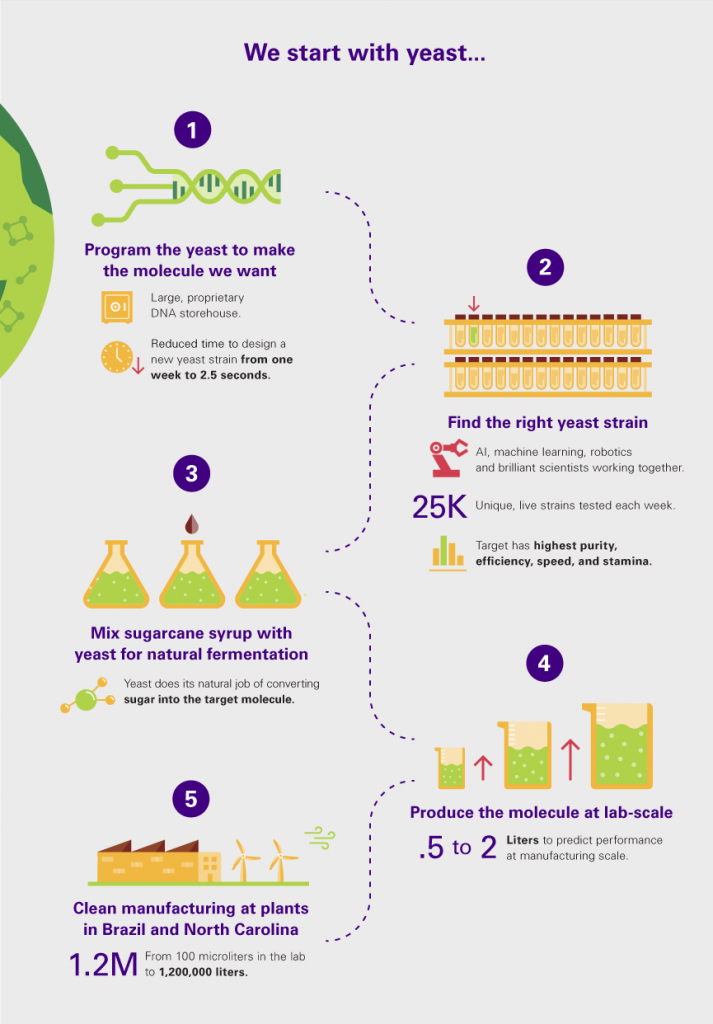 Amyris_infographic_1 - Dan Shearen | Graphic Design